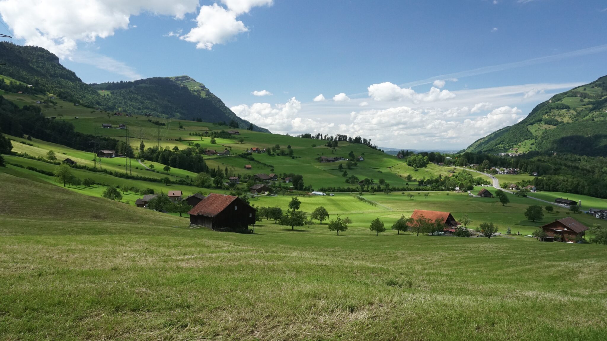 Der Bergsturz von 1806 - Lauerzer Geschichte