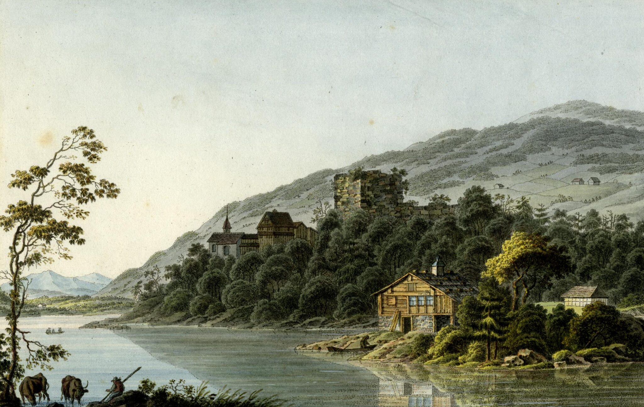 Die Insel Schwanau - Lauerzer Geschichte